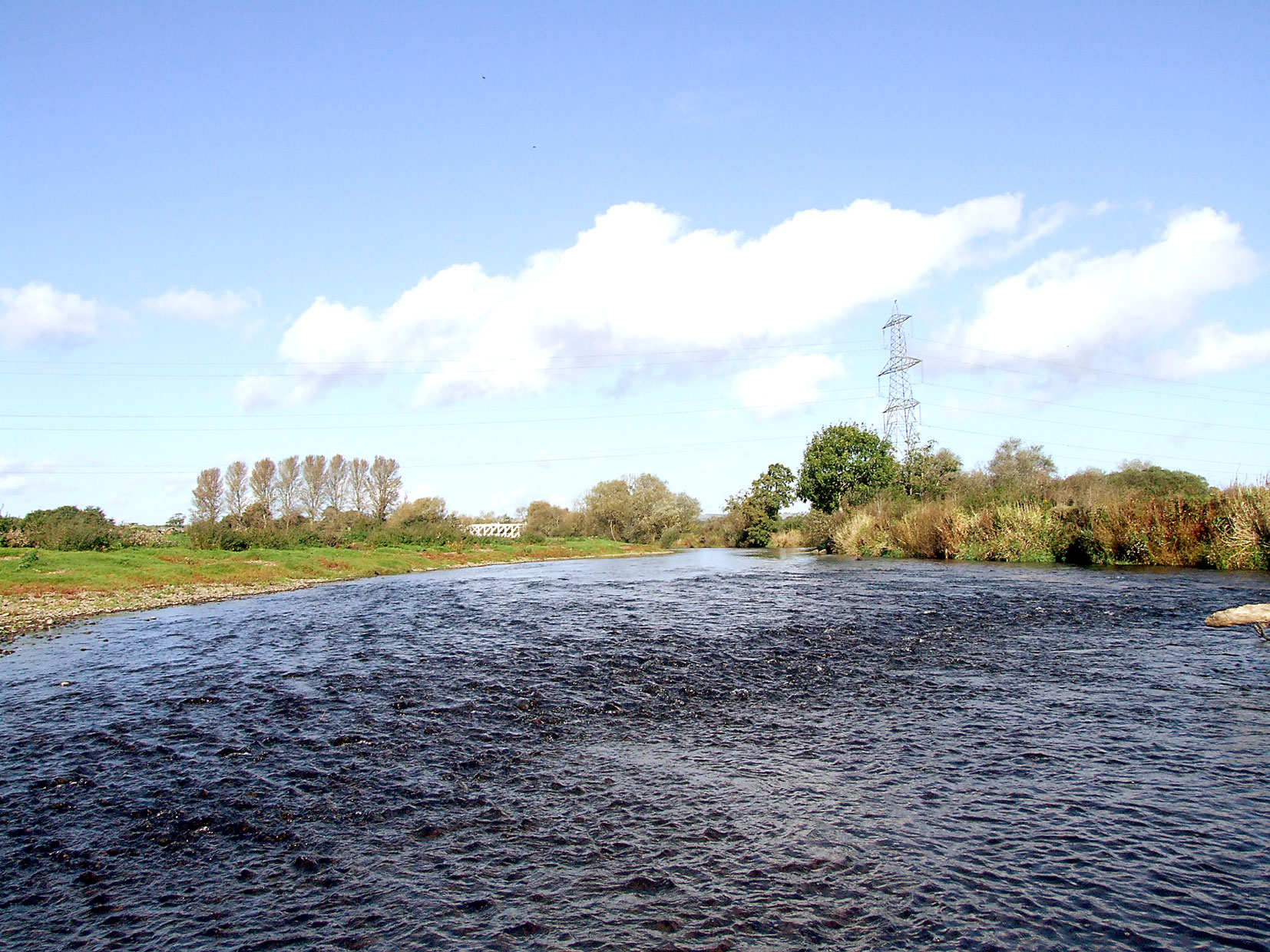 Fishing – The River Exe at Stoke Canon - Townsend Chartered Surveyors