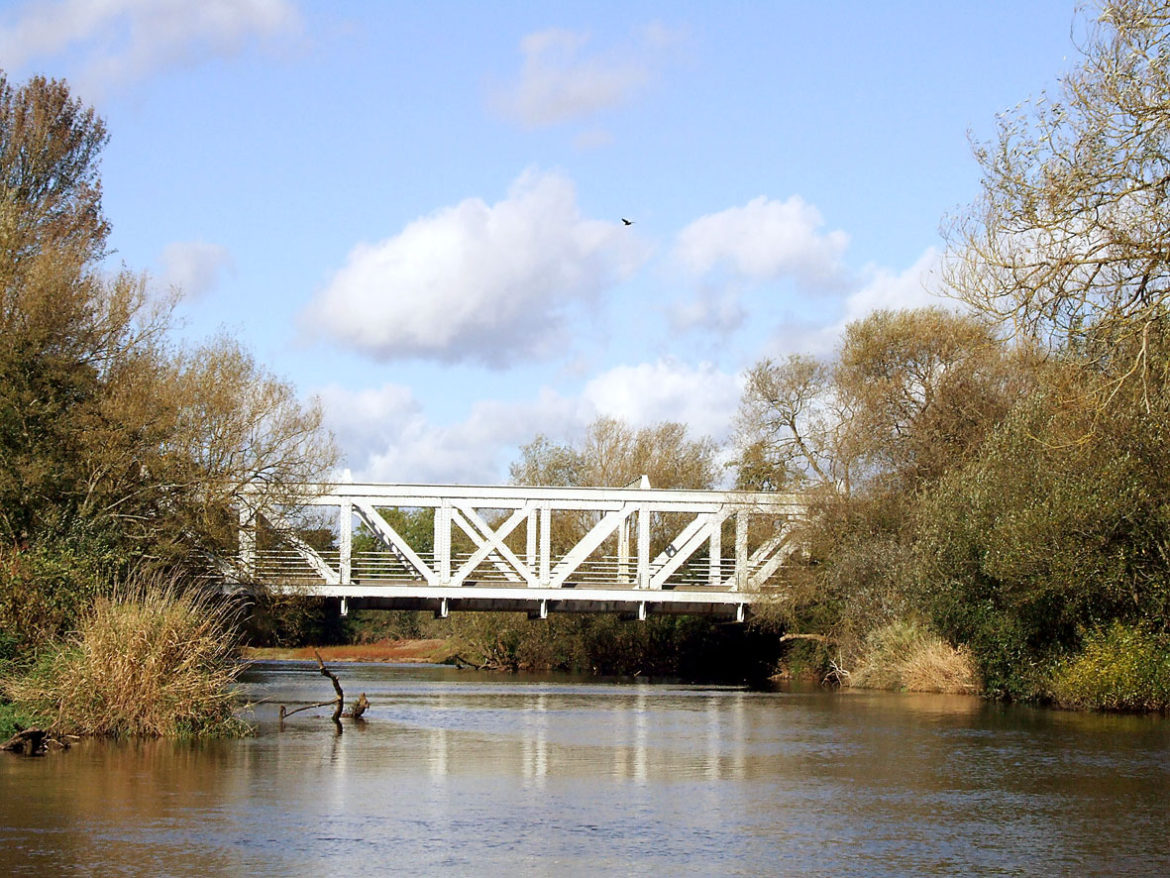 Fishing – The River Exe at Stoke Canon - Townsend Chartered Surveyors